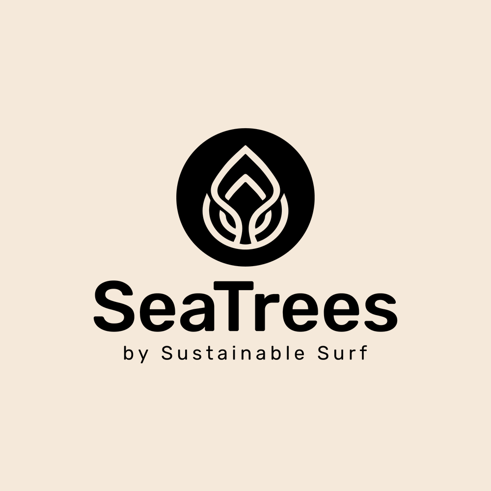 SEATREES x THIS IS ANYO - This Is Anyo